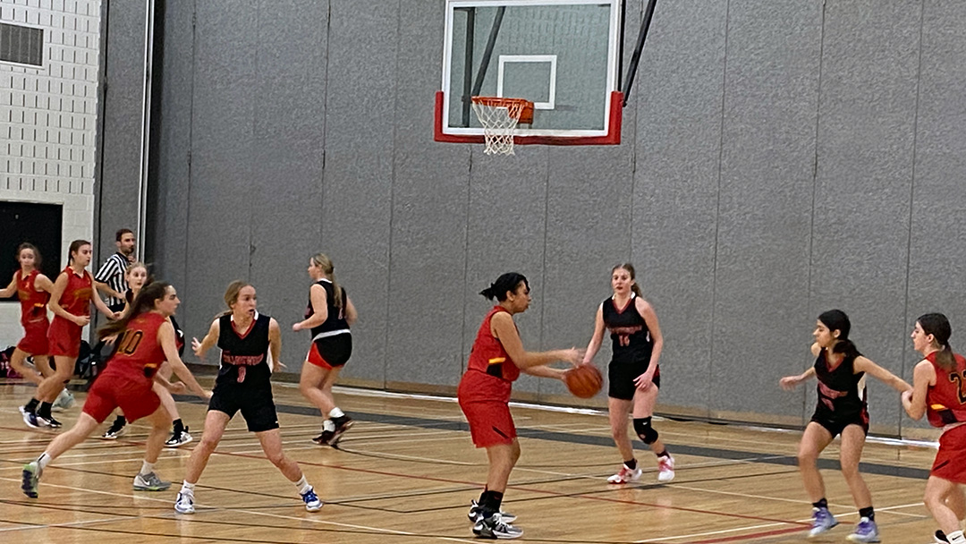 Collingwood Trailblazers Basketball Club - Collingwood Sport ...