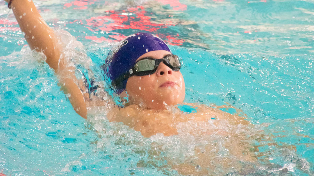Collingwood Clippers Swim Club - Collingwood Sport & Recreation Alliance